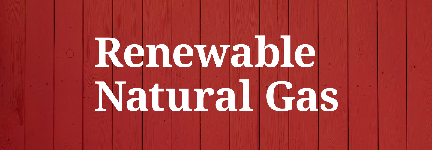 Renewable Natural Gas – VGS